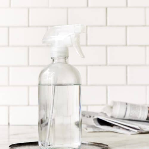 Natural Glass and Window Cleaner - The Blender Girl